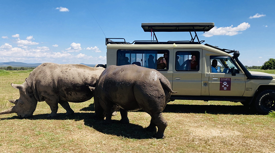 The Northern Circuit Safaris – Kenya - Sumpton Safari Adventures